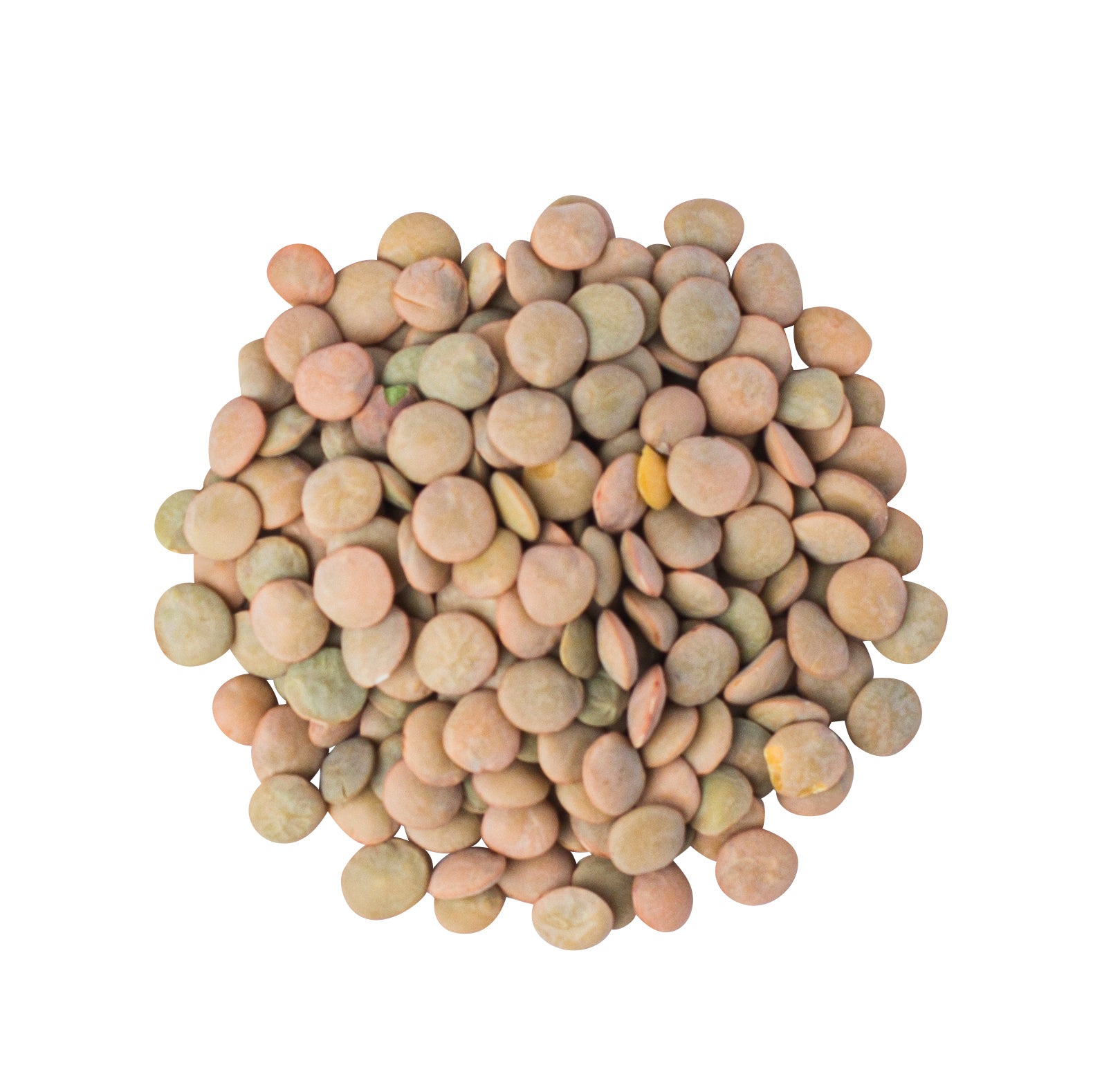 Organic Lentils, Green - 500g – Ceres Organics