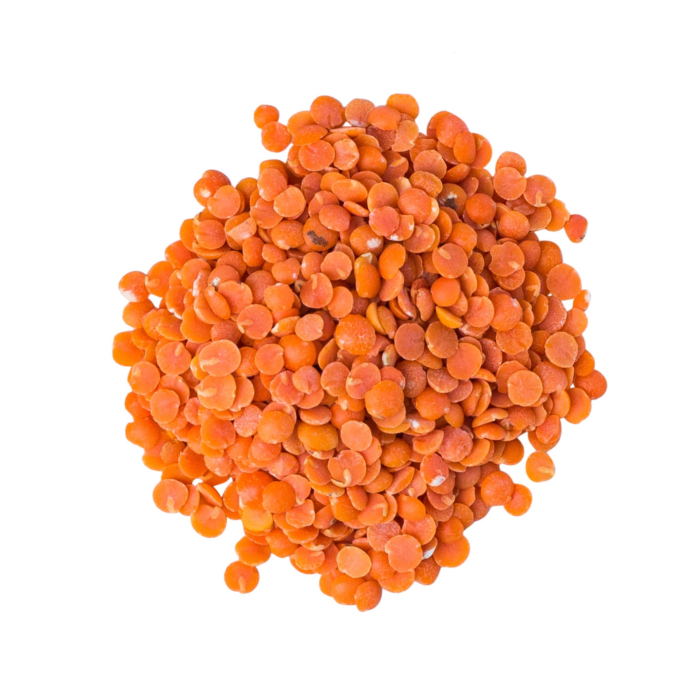 Lentils Red Split Organic - 3.5kg – Ceres Organics